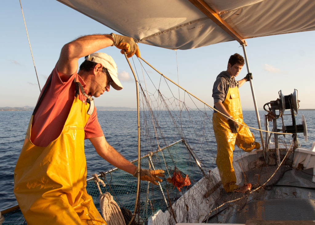 Most Dangerous Jobs - Workplace Injuries | Personal Injury Attorneys